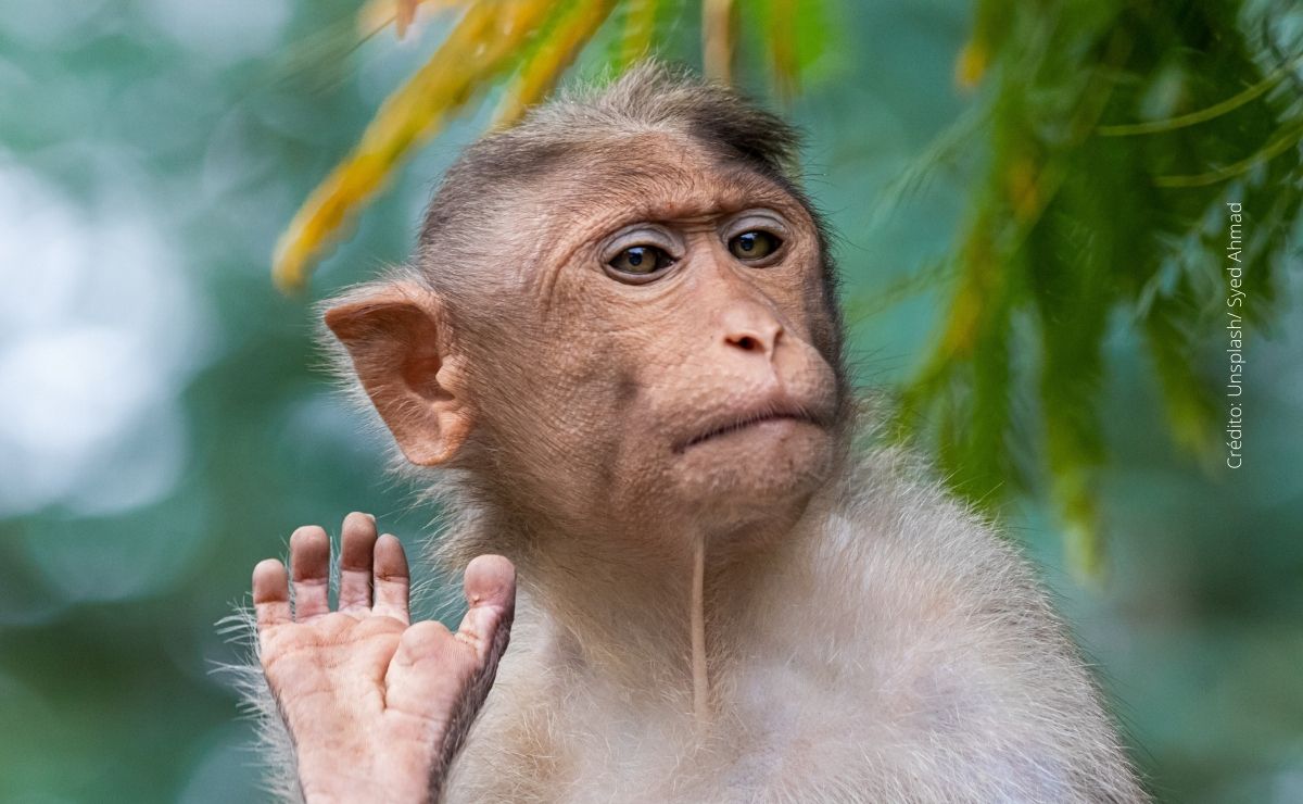 Lady Chango cambia cubrebocas por máscara. (VIDEO)