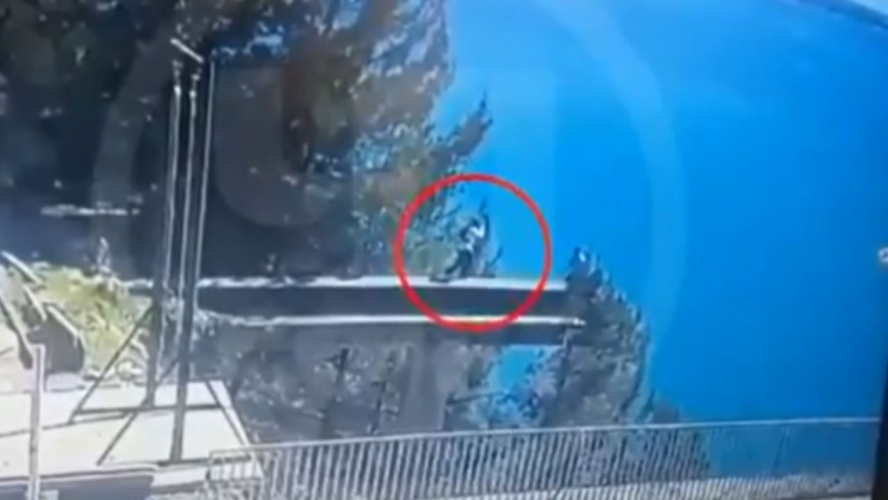 VIDEO: ️ Momento en que influencer rusa Inessa Polenko muere por ...