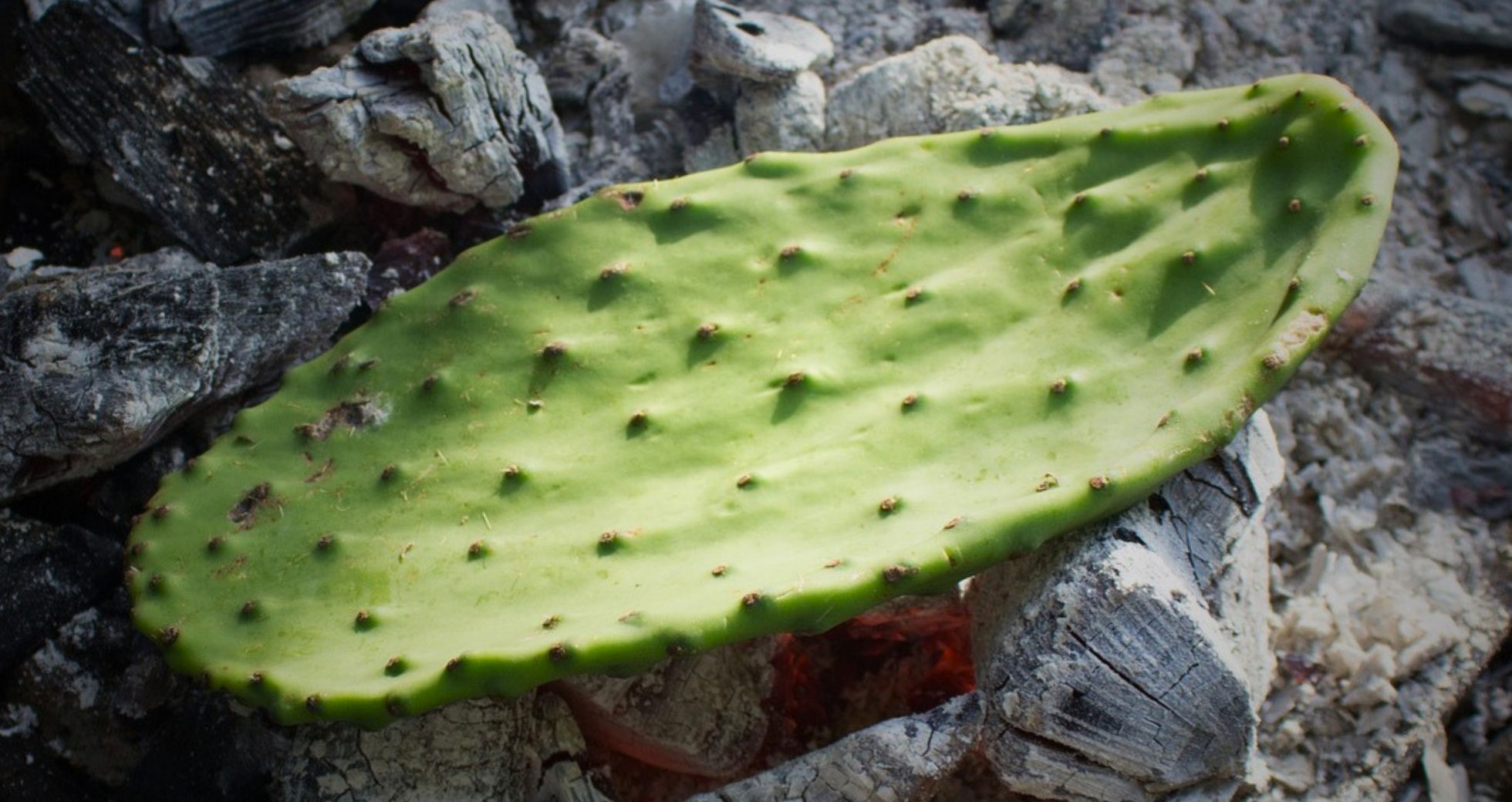 ¿Cómo quitar rápido las arrugas del rostro con colágeno casero de baba ...