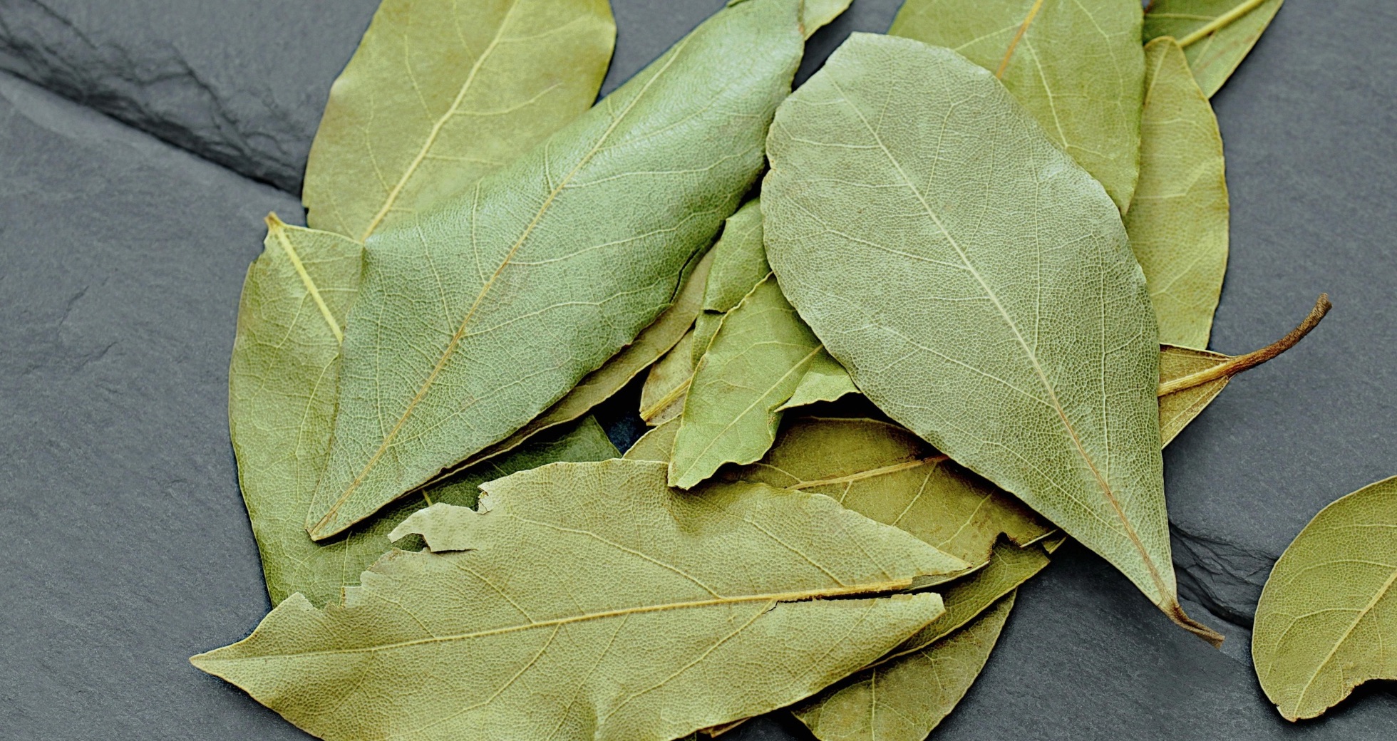 ¿Cuáles son los beneficios del té de hojas de laurel y cómo prepararlo?