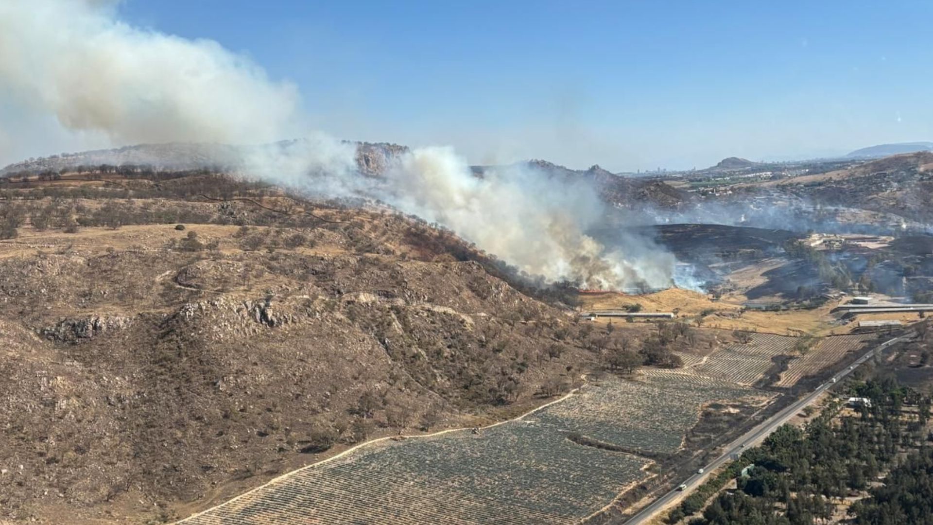 ¿Cuántos incendios activos hay en Jalisco hoy 7 de abril de 2025?