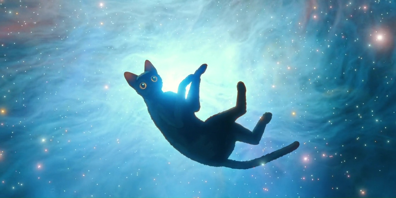 ¿De qué color es el gato de la película “Flow”? ¿De qué color es el gato de la película “Flow”?