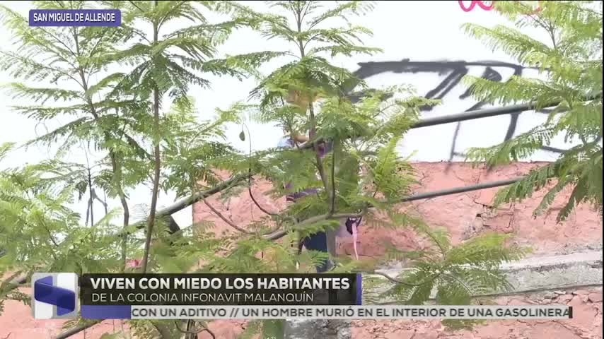 Colonia Infonavit Malanquín en San Miguel de Allende: vecinos viven con ...
