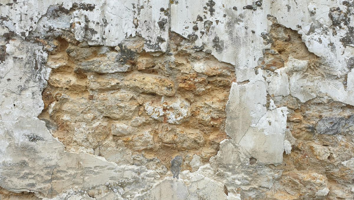 Así puedes eliminar la humedad de las paredes de tu hogar paso a paso