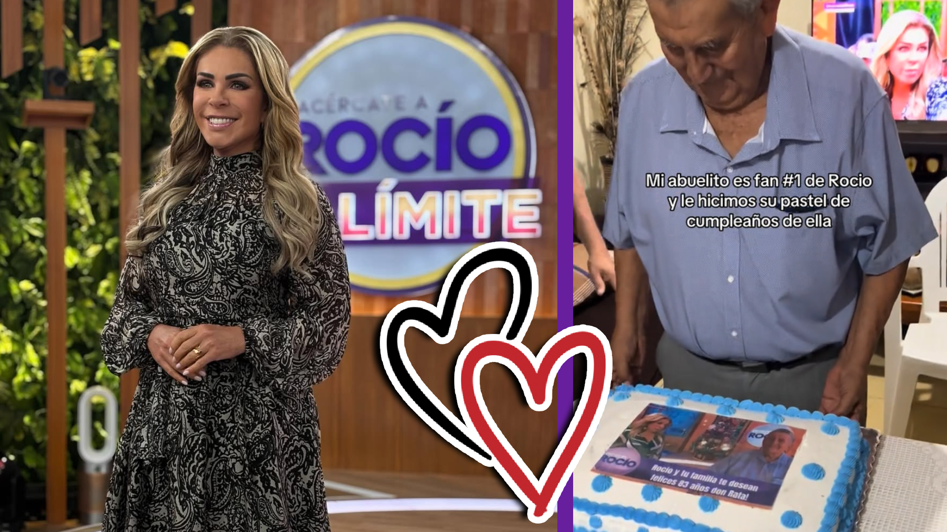 VIDEO: Abuelito fan de Rocío Sánchez Azuara recibe pastel de cumpleaños ...