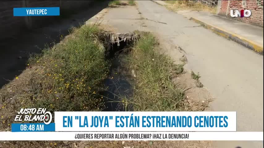 En La Joya están estrenando "Cenotes", te contamos de qué trata