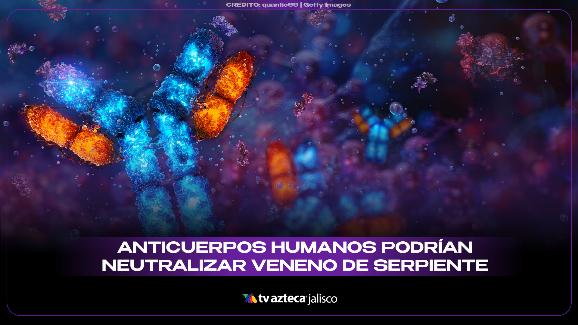 Antiveneno humano: el caso de Tim Friede y su inmunidad a mordeduras de ...