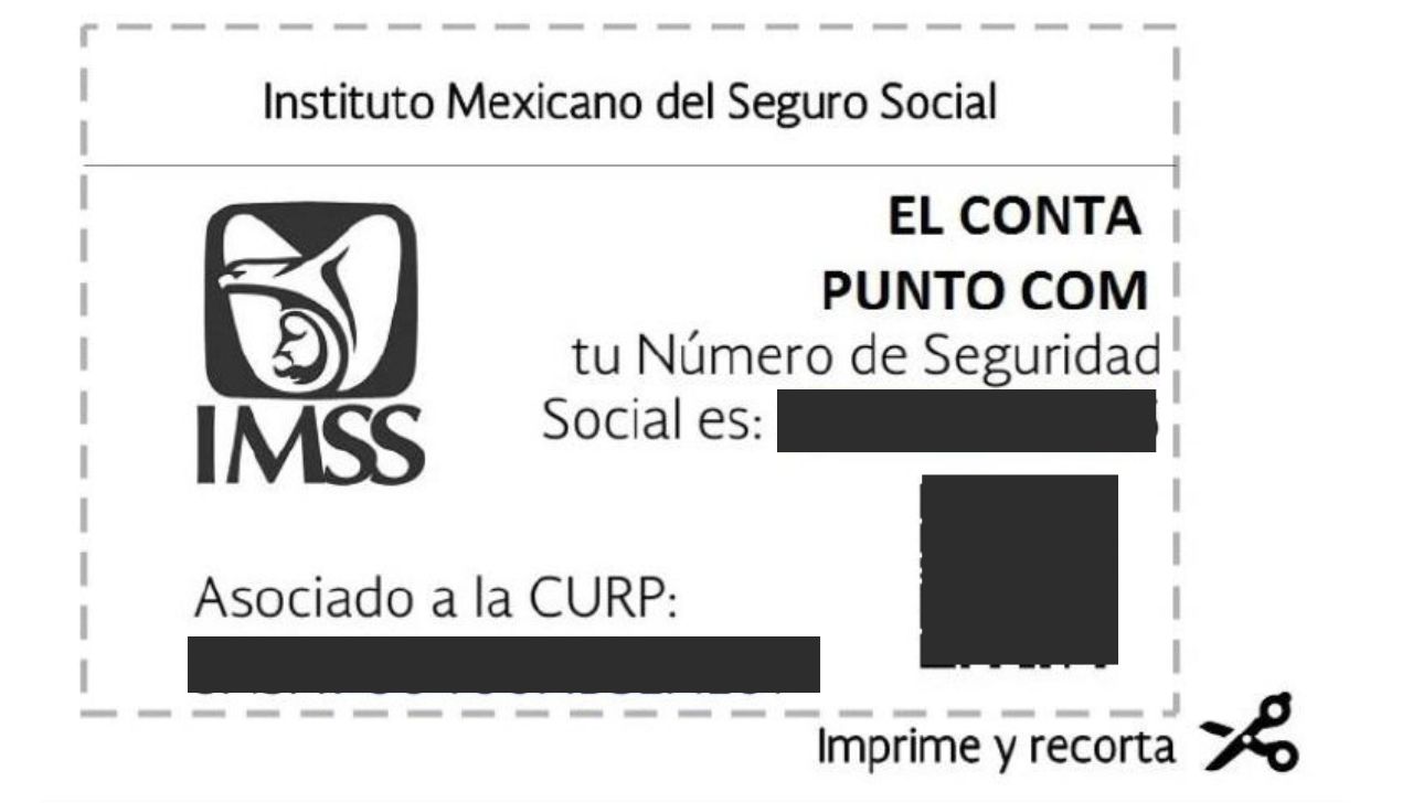 Paso a paso: ¿Cómo recuperar el Número de Seguridad Social (NSS)?