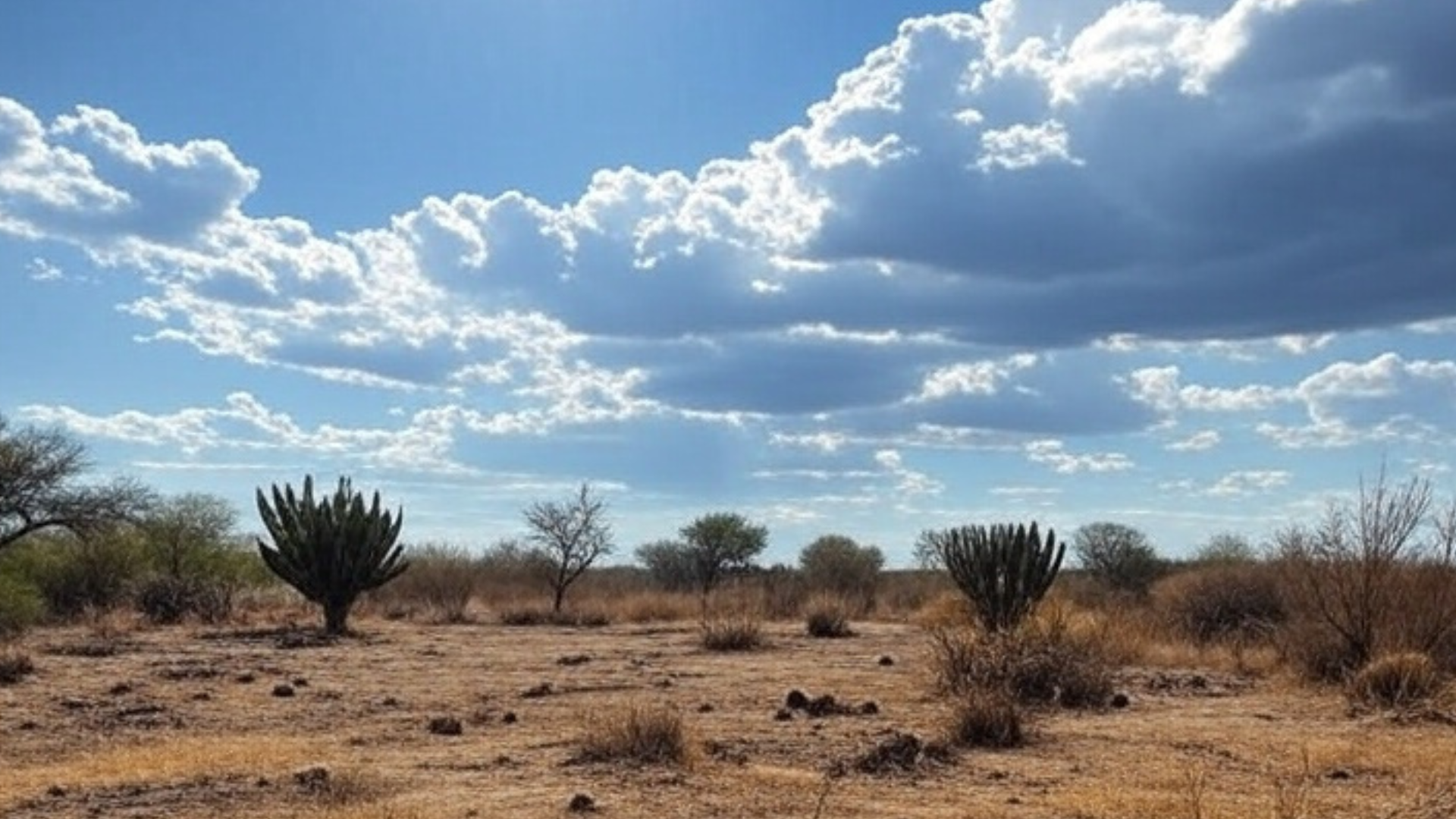 Clima Michoacán por municipios hoy martes 11 de noviembre 2025