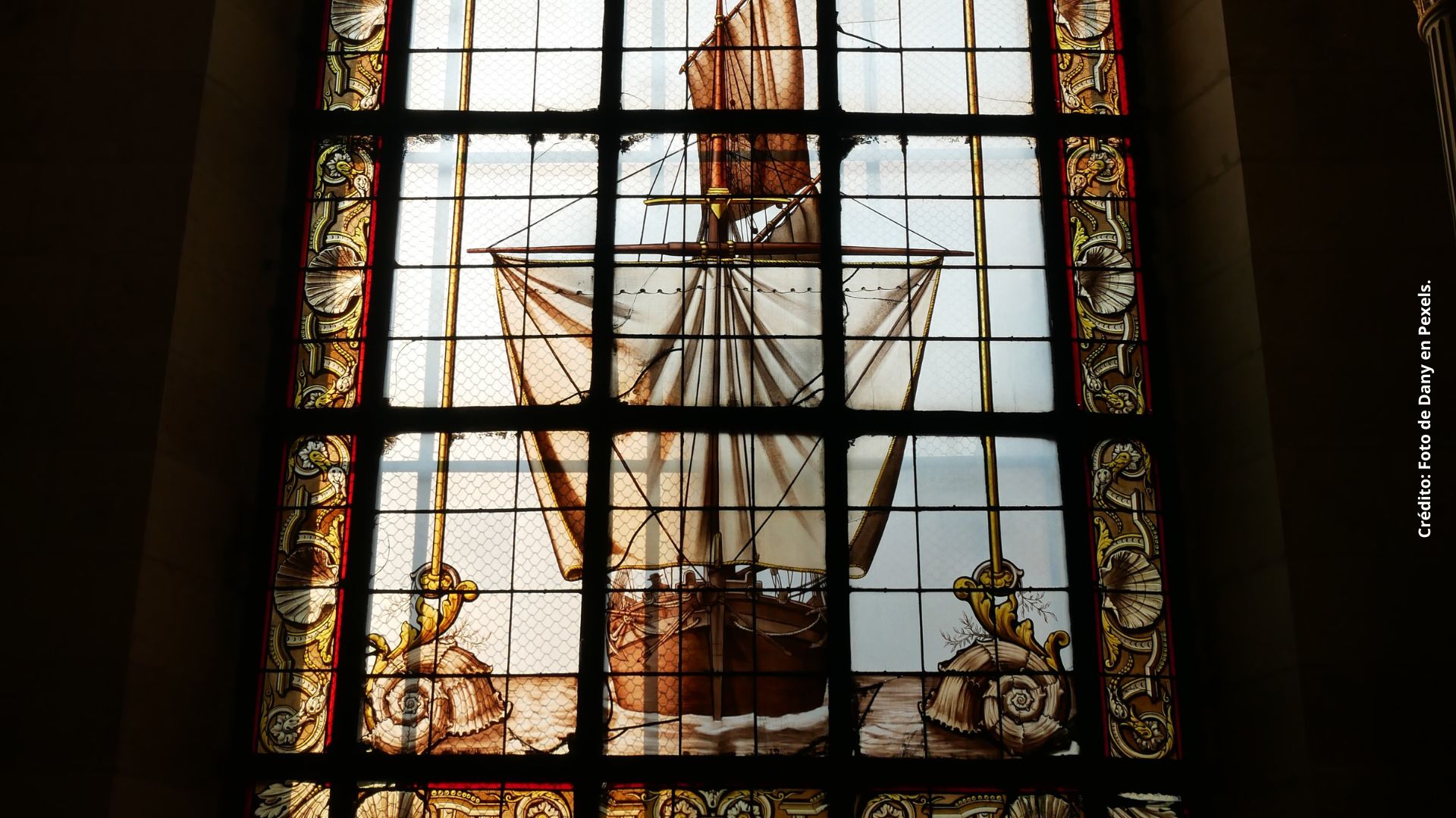 Arca de Noé: juntan más de 40 mil especies de plantas en peligro de ...