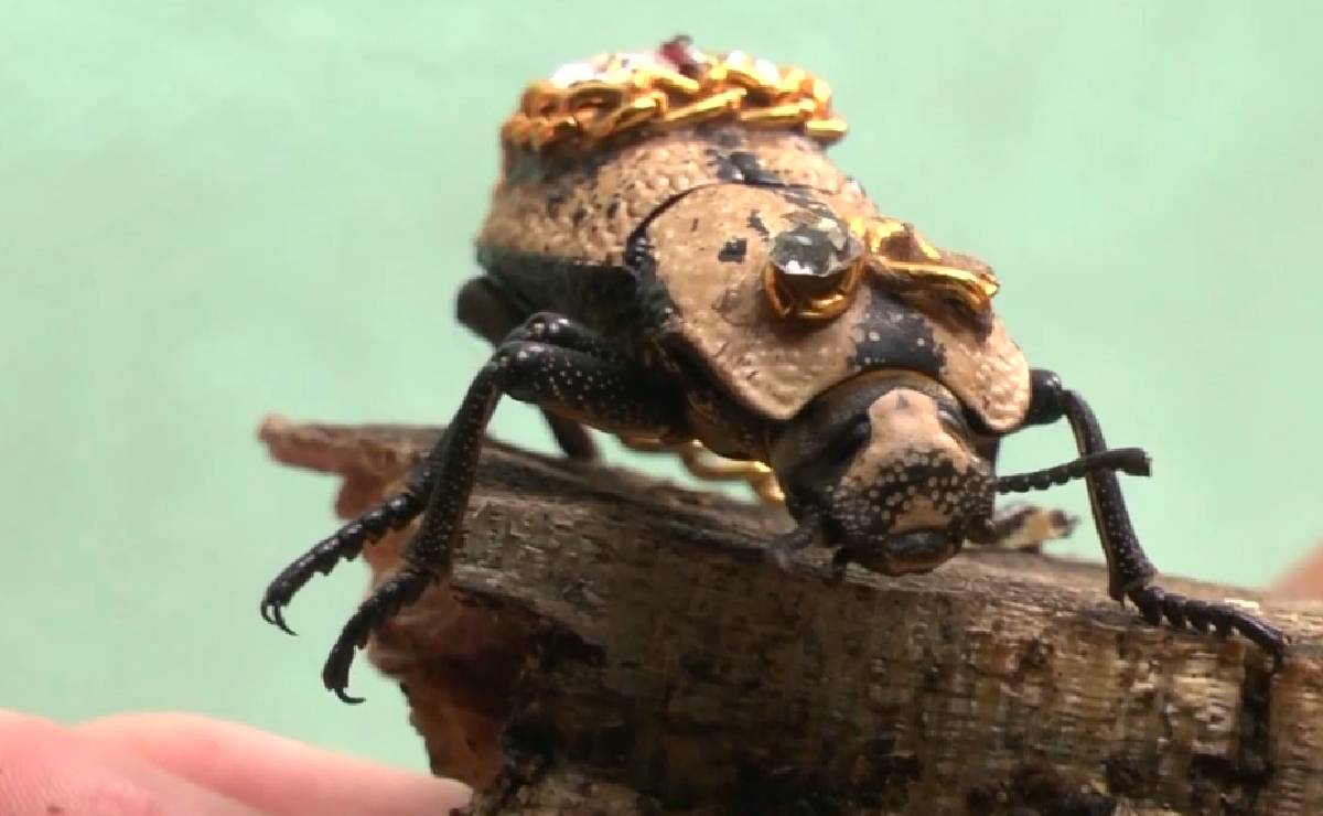 ¿Conoces la leyenda del Makech en Yucatán?