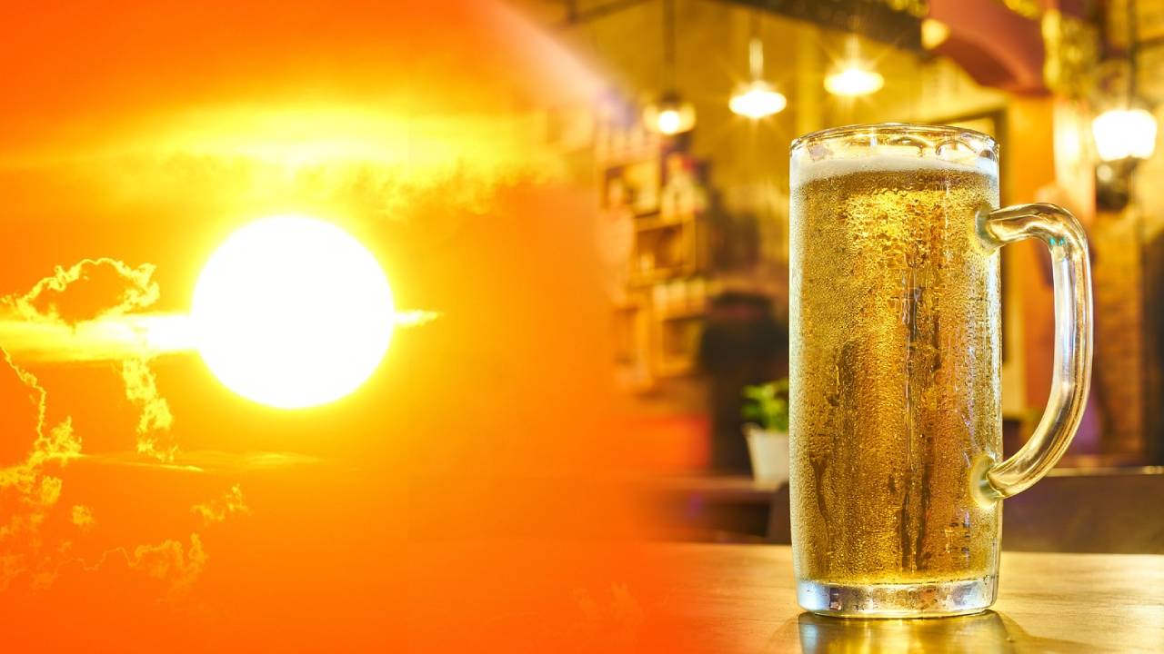¿Es bueno beber cerveza cuando hace calor? 🍺