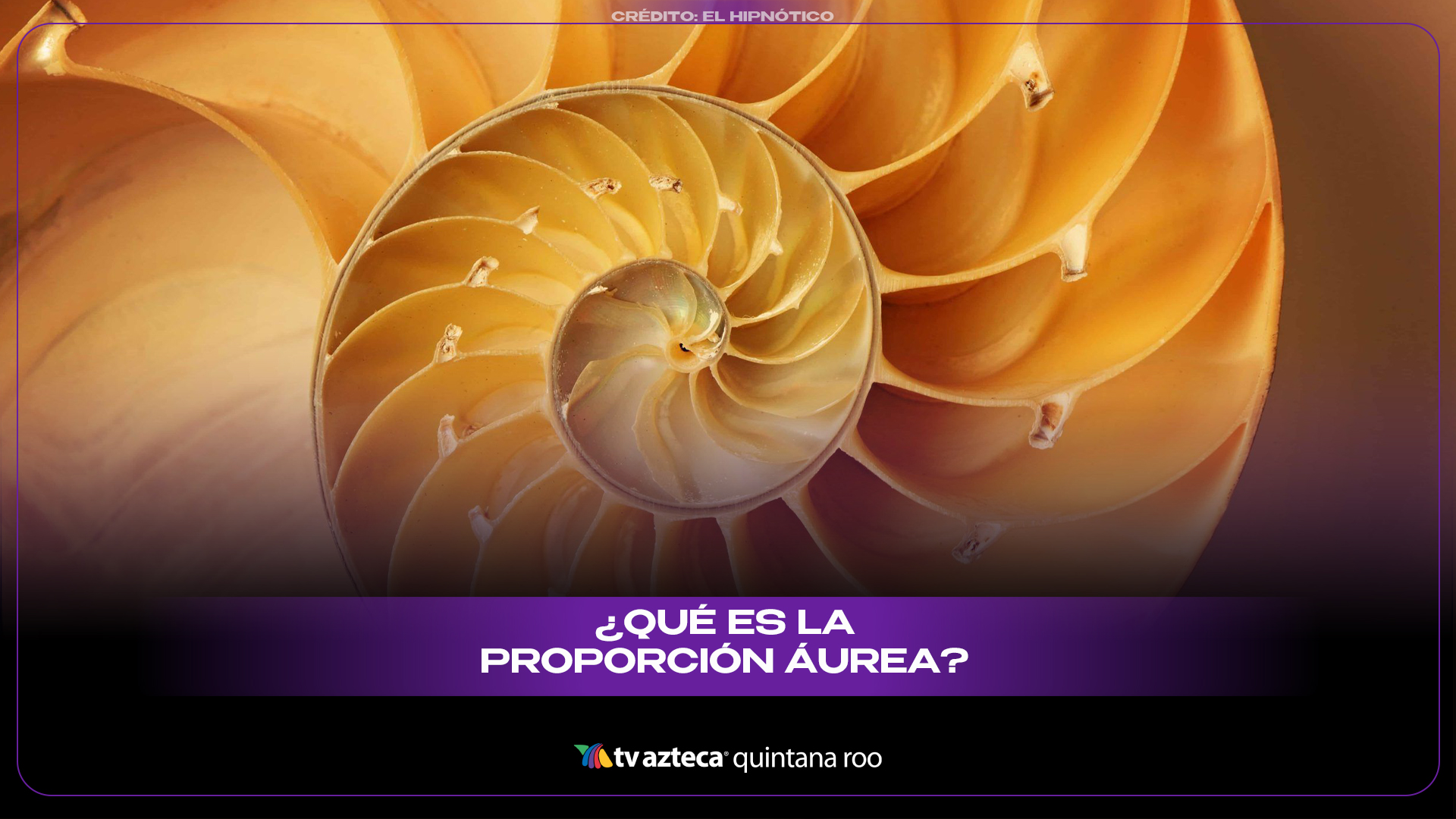 ¿Qué es la proporción áurea? ¡Descúbrelo!