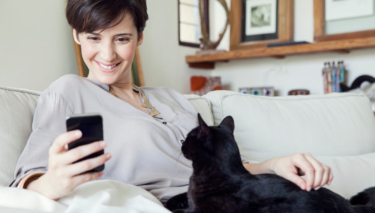 ¡Qué tierno! Así se activa el modo gato de WhatsApp para llevar a tu ...