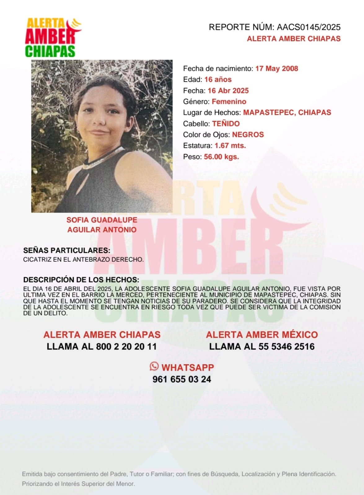 ALERTA AMBER CHIAPAS: Sofía Guadalupe Aguilar Antonio desapareció en Mapastepec