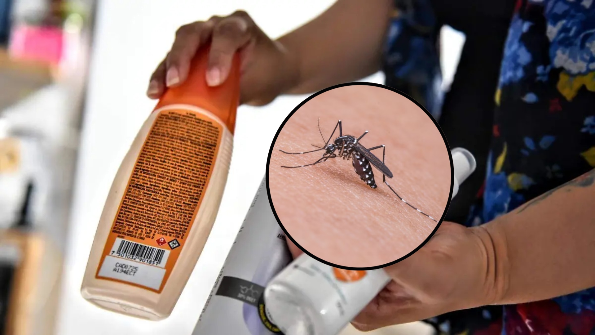 Incremento de moscos en Mérida provoca escasez de repelentes