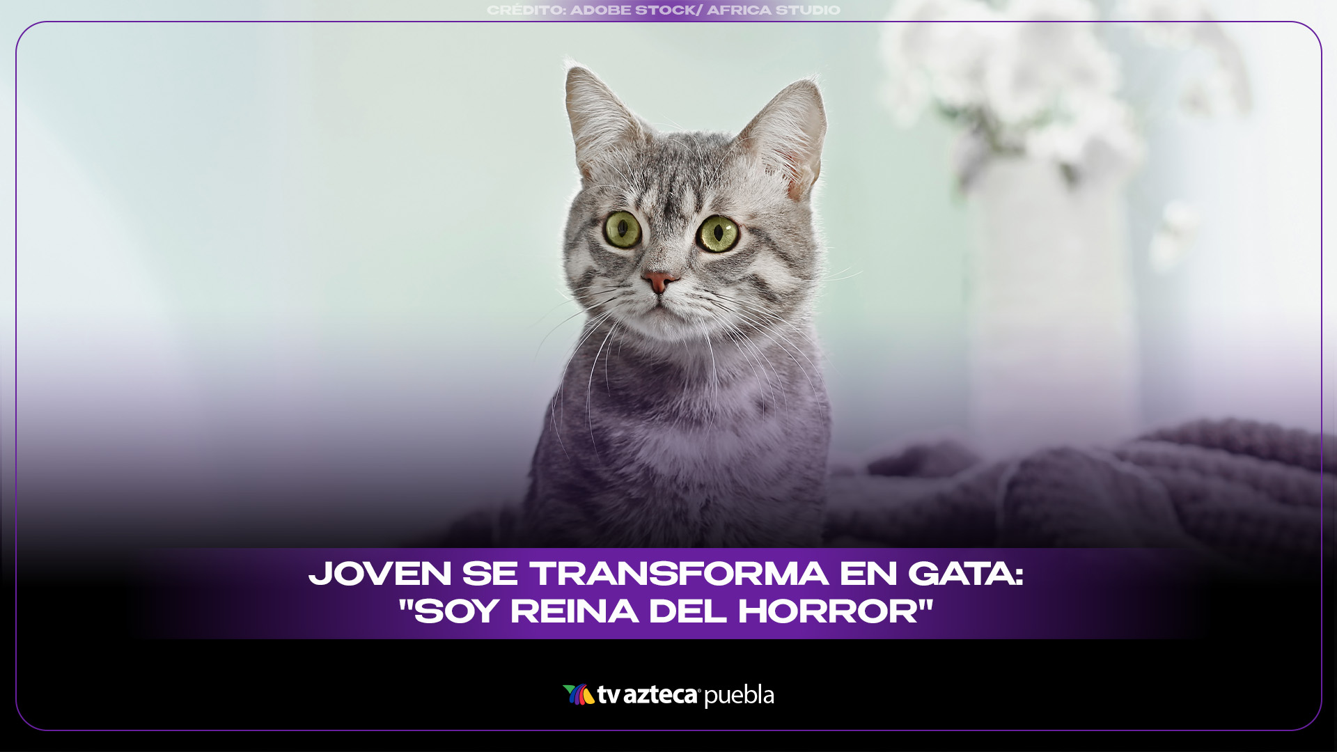 Aydin Mod desafía los estándares con su transformación extrema