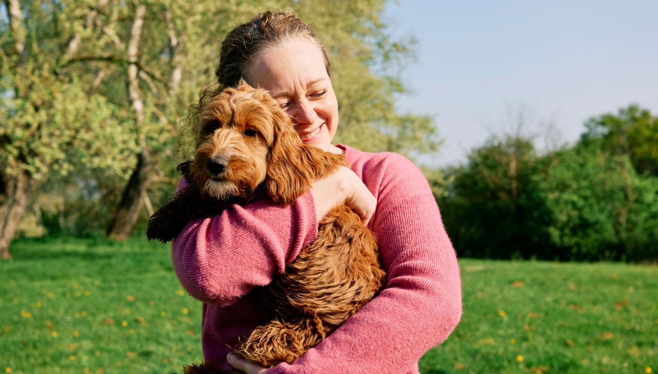 ¿Cómo cargar a mis perros sin lastimarlos? Estas son las mejores formas ...