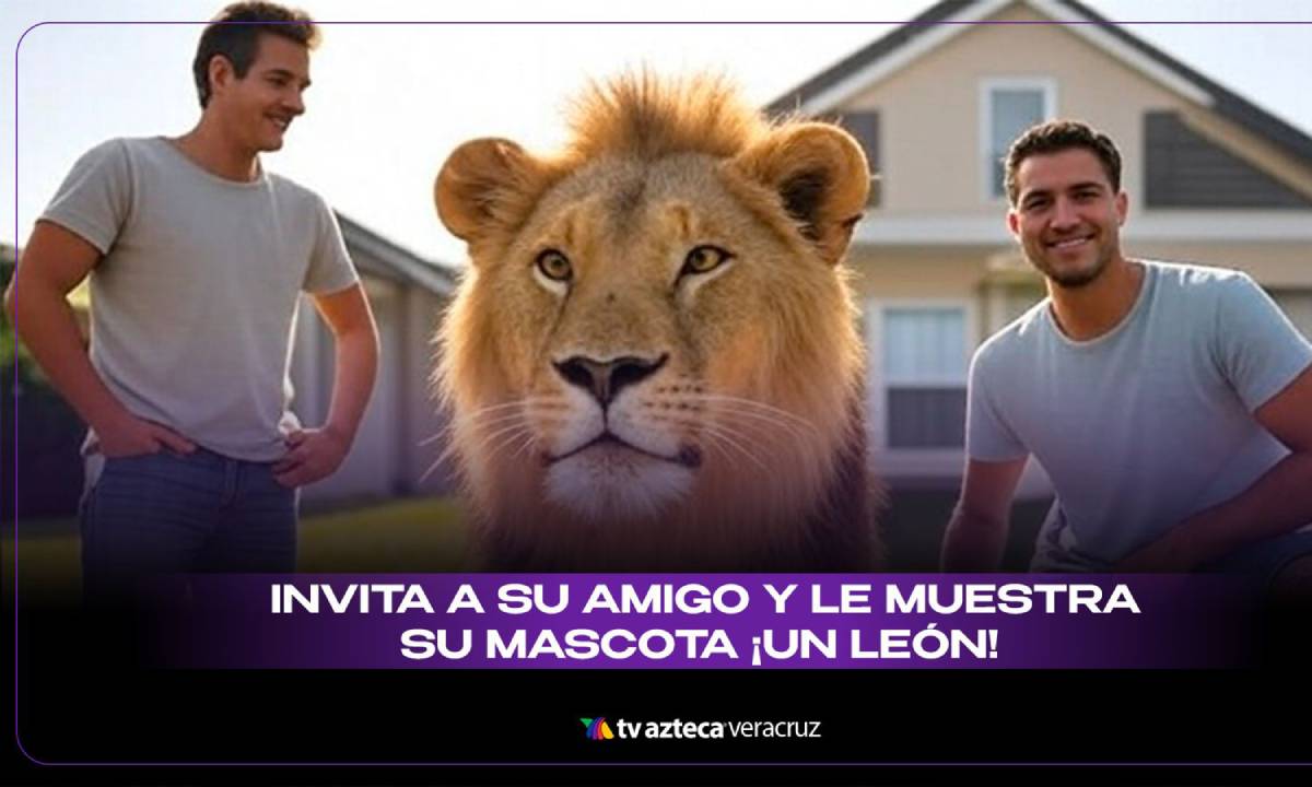 Amigo presume su mascota león y lo ataca; así ocurrió