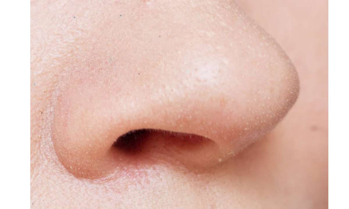 Vello nasal: ¿por qué no cortarlo y qué funciones tiene?