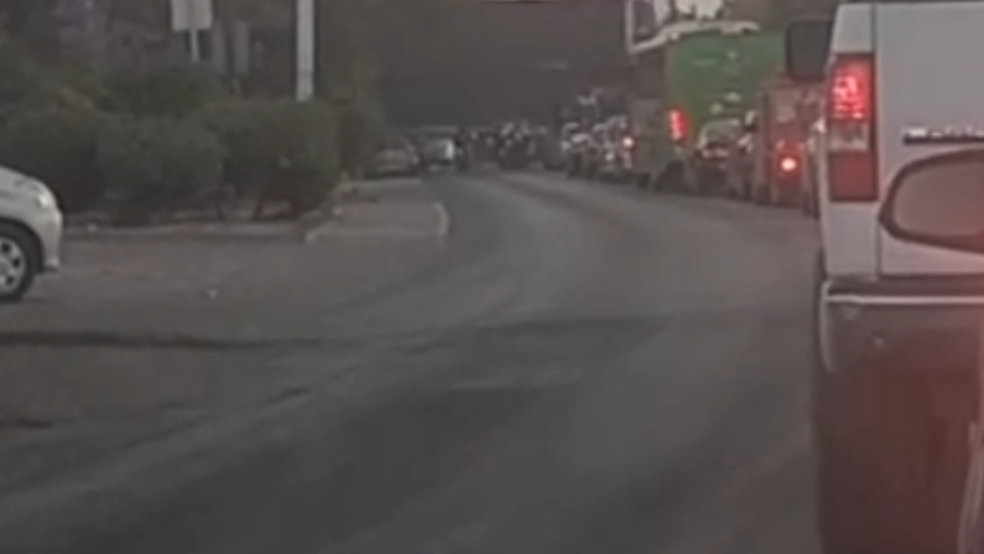 Tráfico bulevares Timoteo Lozano y avenida Juárez, León hoy 24 marzo ...