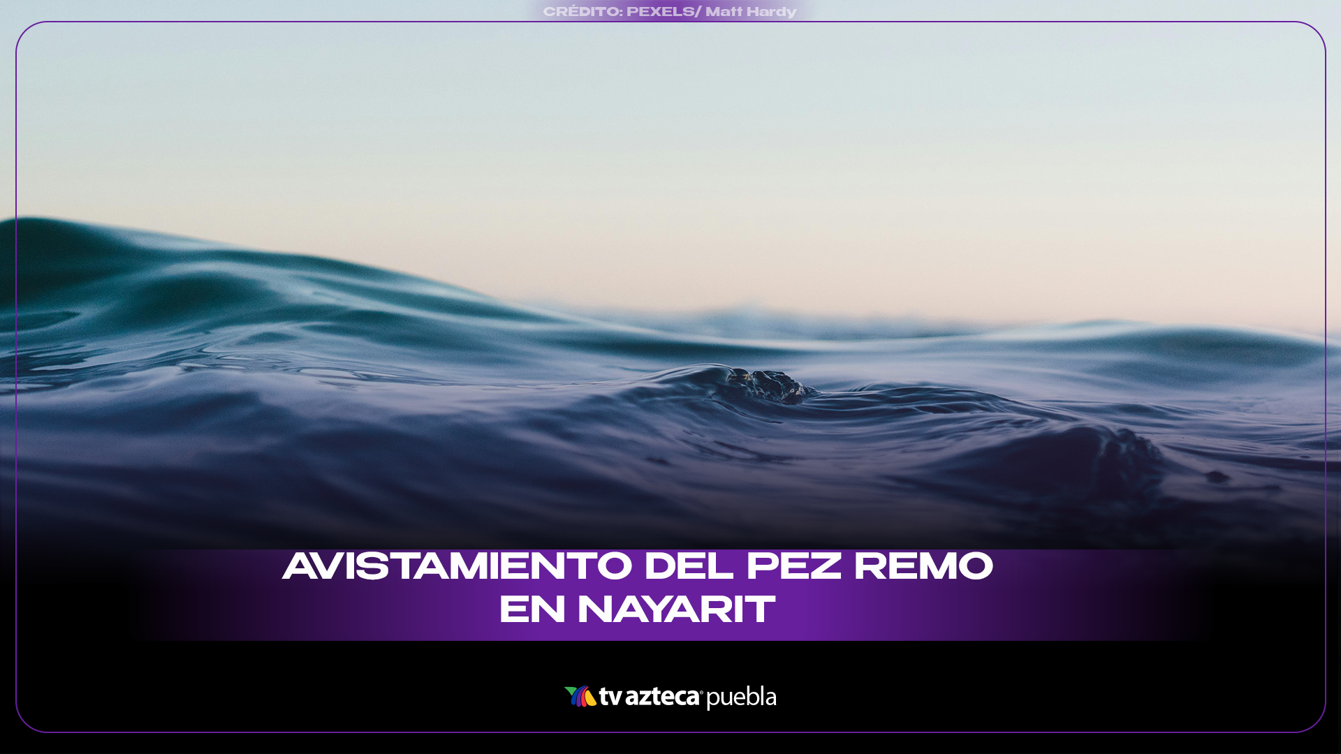 Pez remo en Nayarit causa preocupación y revive mitos
