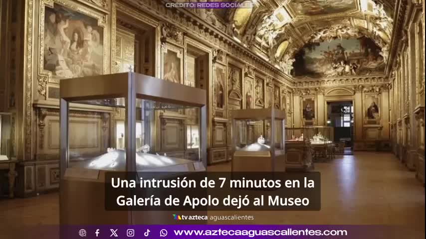 Gusanos “cola de rata” invaden Poza Rica tras inundaciones: ¿Son ...