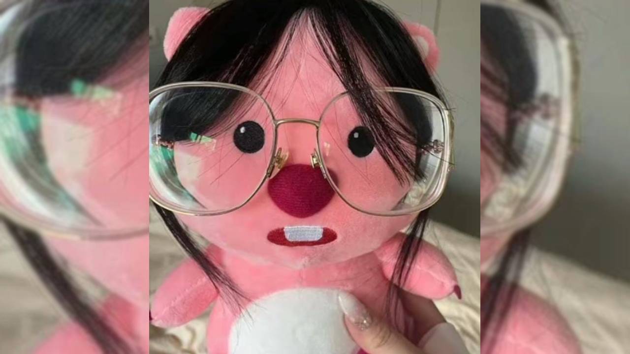 Peluche rosa con lentes: Contexto y origen del viral meme ligado al ...