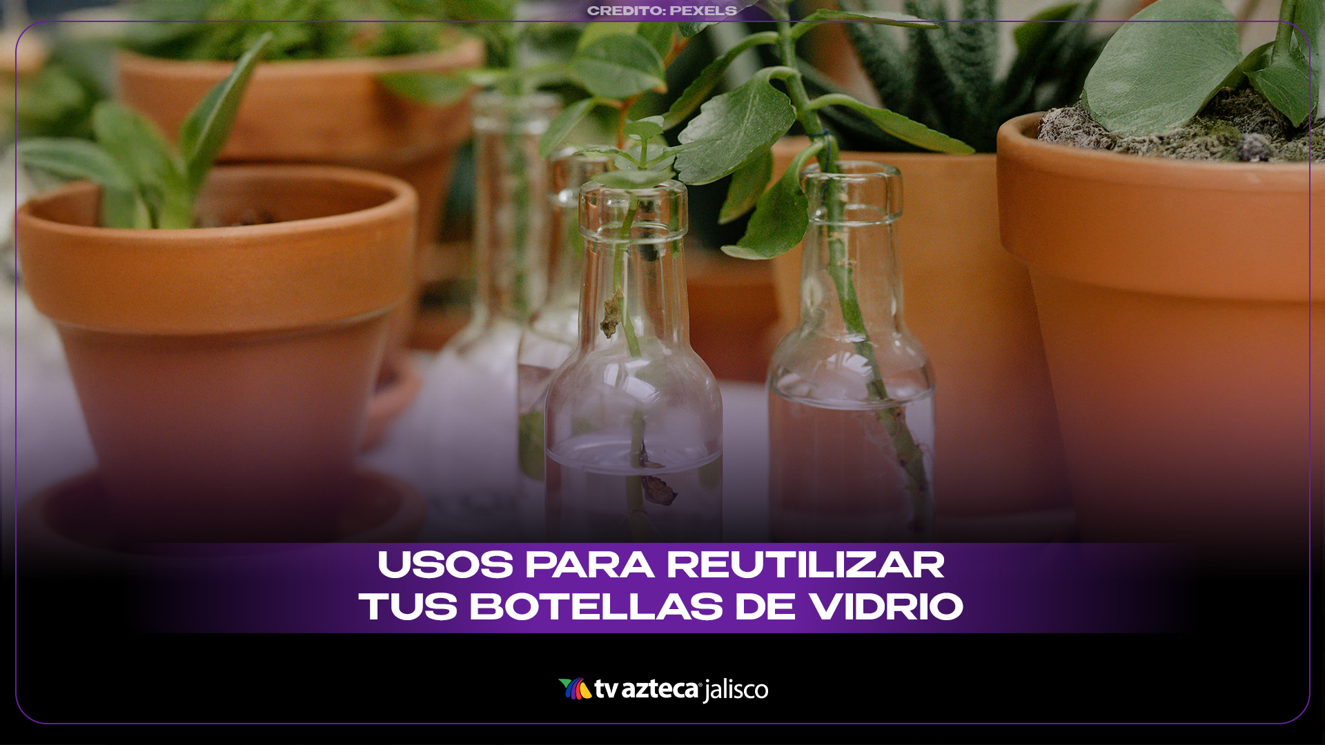 ¿Ya no sabes qué hacer con tus botellas de vidrio? 6 nuevos usos nuevos ...