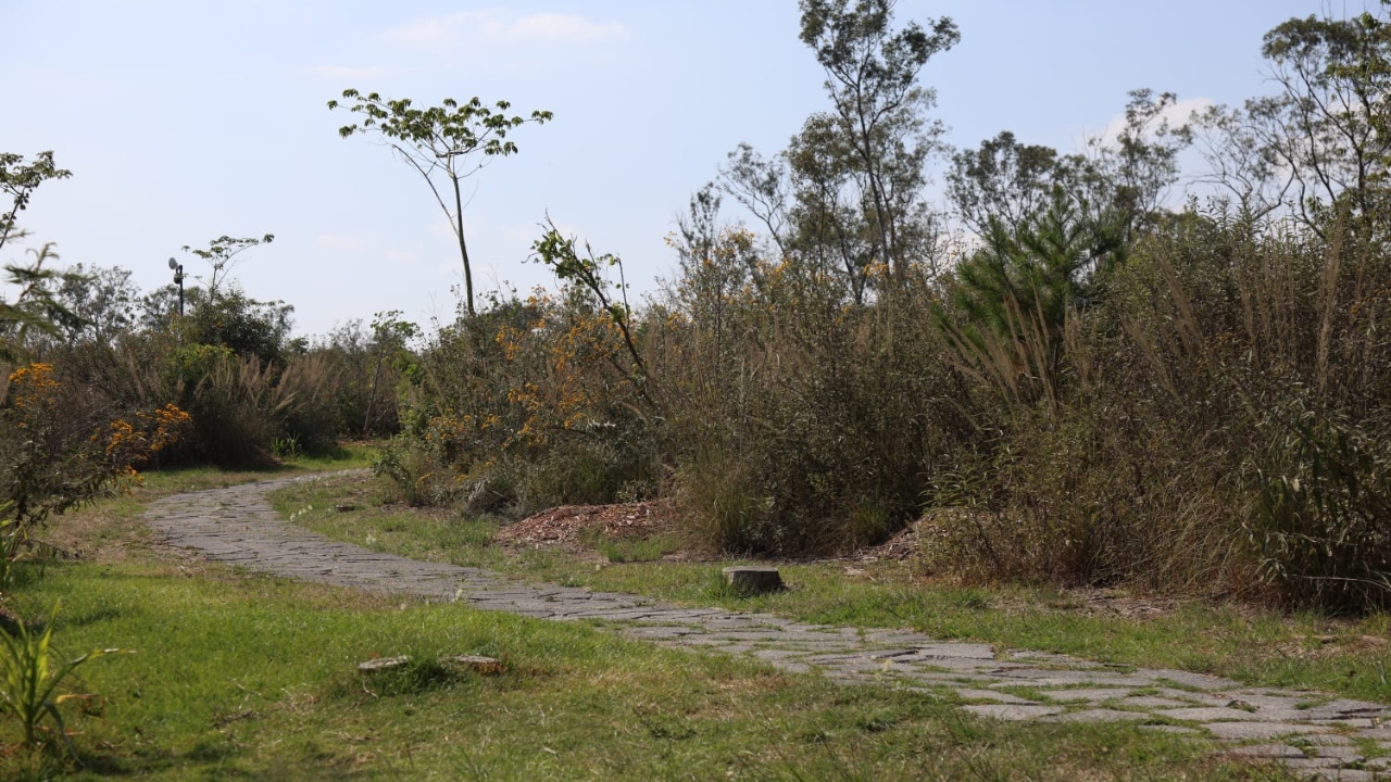 Bosque Claussell en la tercera sección de Chapultepec, tiene esperanza ...