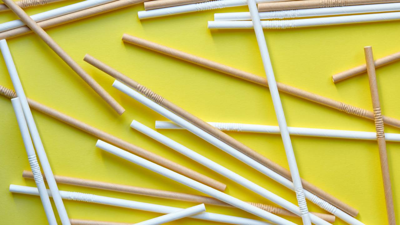 ¿Popotes tóxicos? Descubre cuáles popotes son dañinos
