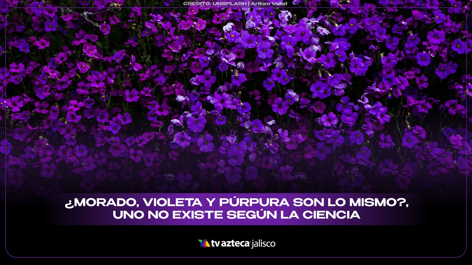 ¿Morado, violeta y púrpura son los mismo? Uno NO EXISTE según la ciencia