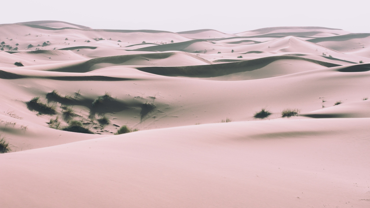 Desierto del Sahara es inundado por lluvias; así se ve desde el espacio