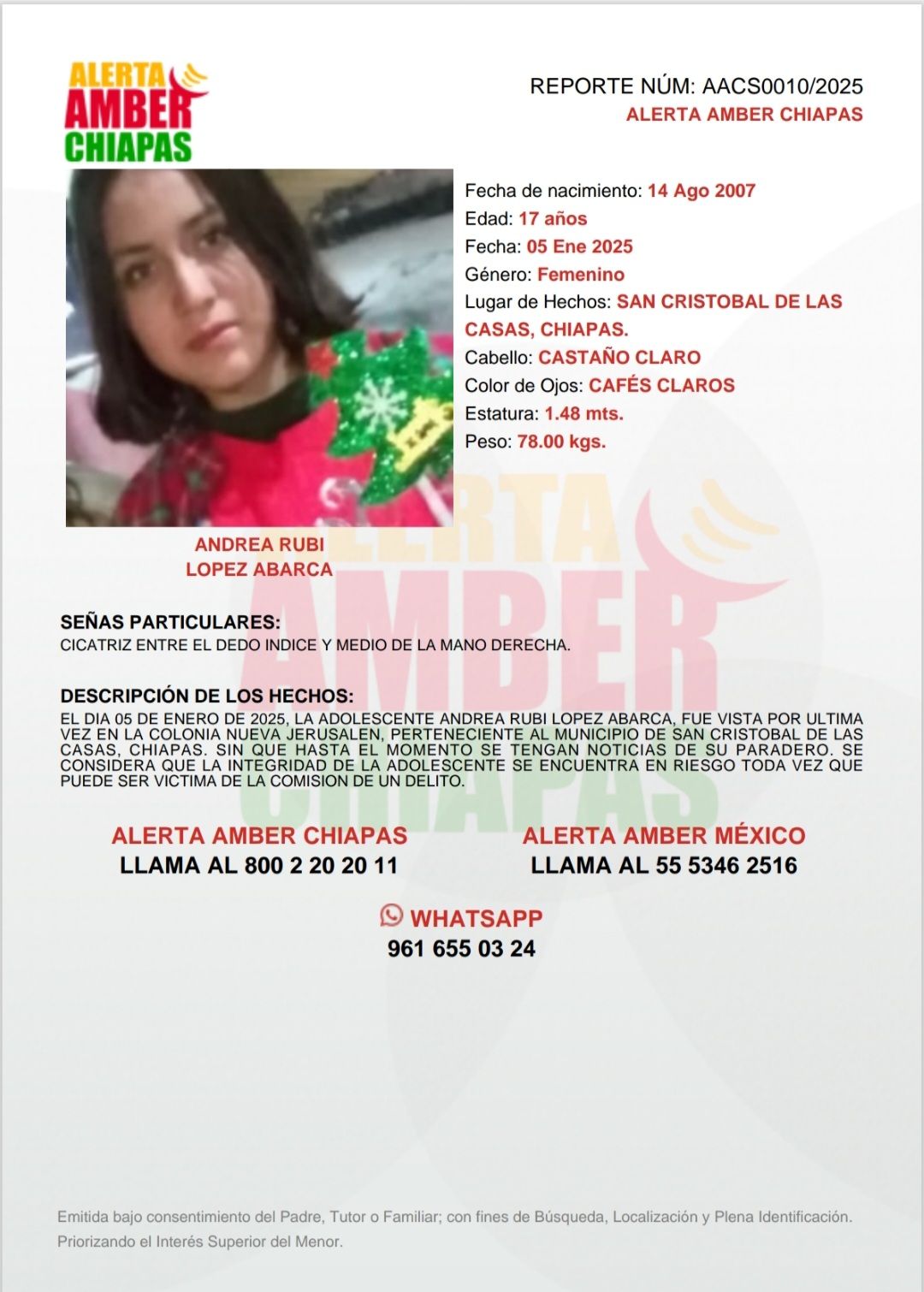 ALERTA AMBER CHIAPAS 2025: Andrea Rubí desapareció en San Cristóbal de ...