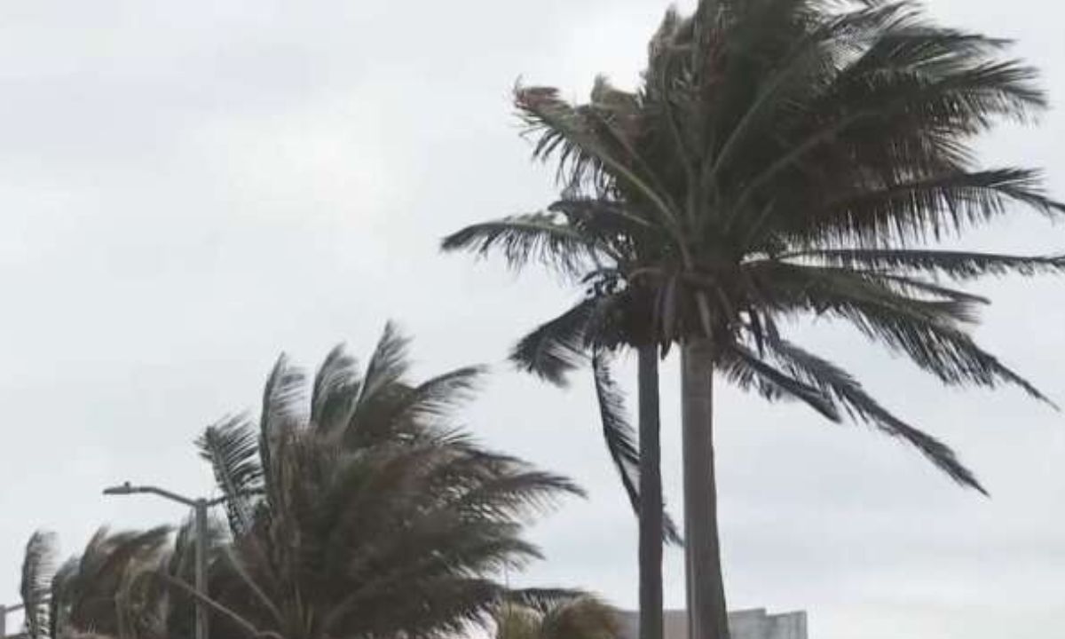 Norte en Veracruz ¿Cómo estarán las rachas máximas y cuándo ingresa?