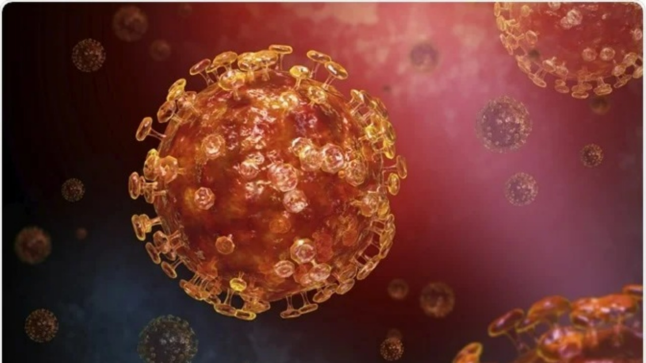 Mers-COV: Qué es y por qué la OMS alertó por el caso en Emiratos Árabes