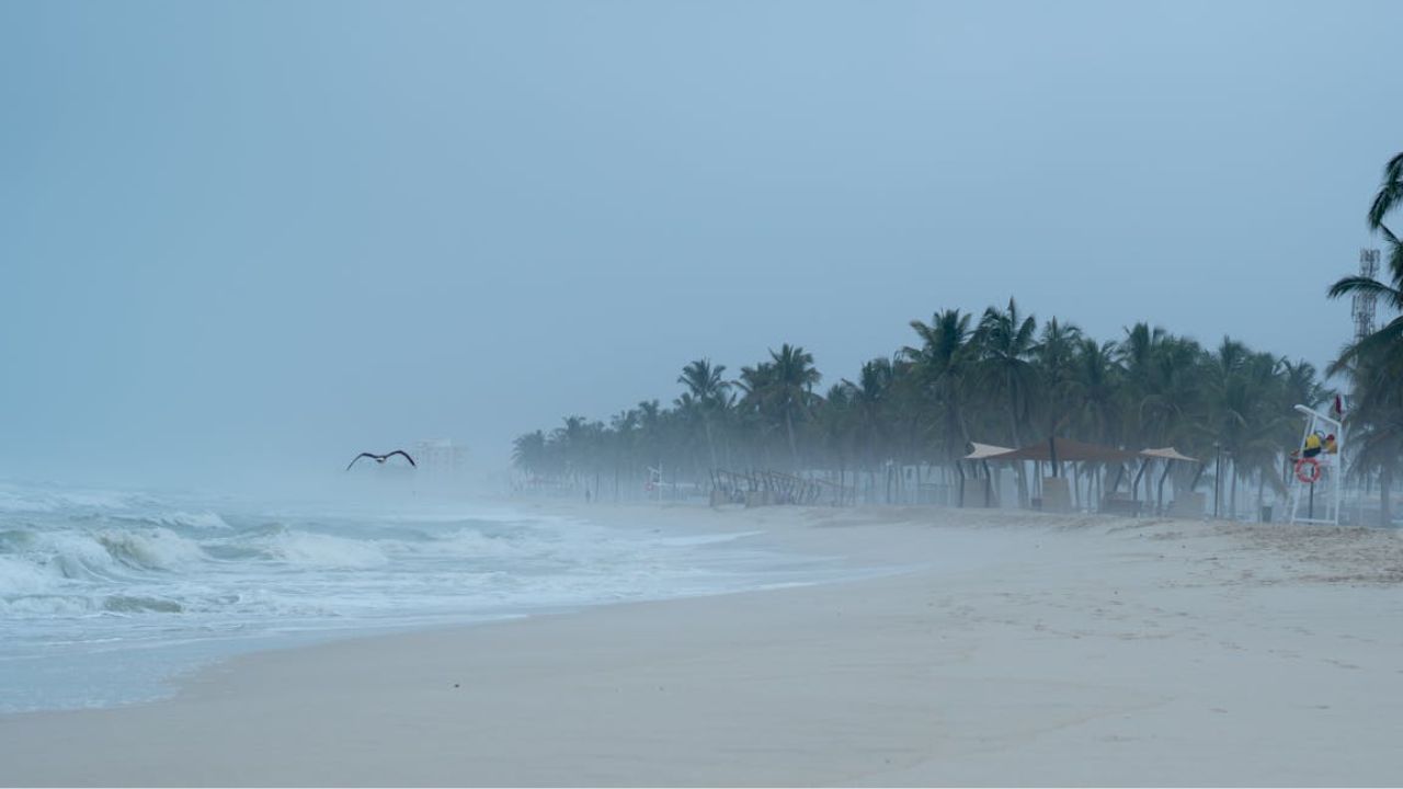 Tormenta 'Mario' podría formarse en el Pacífico Mexicano: Zonas afectadas