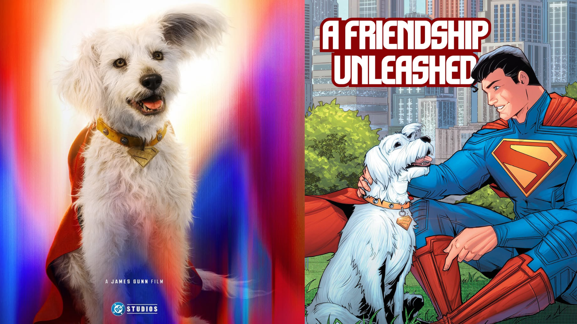 ¿Cuál es la raza del perro Krypto en Superman 2025?