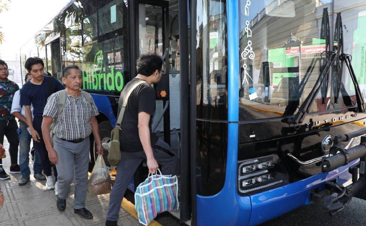 Rutas del Va y Ven Mérida: ¿Cuáles comienzan a operar este sábado 04 de ...