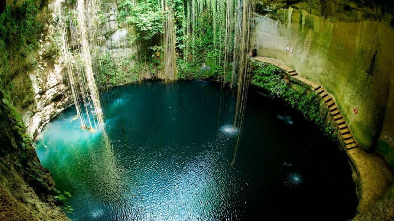 Descubre la razón por la que NO puedes nadar en un cenote después de ...