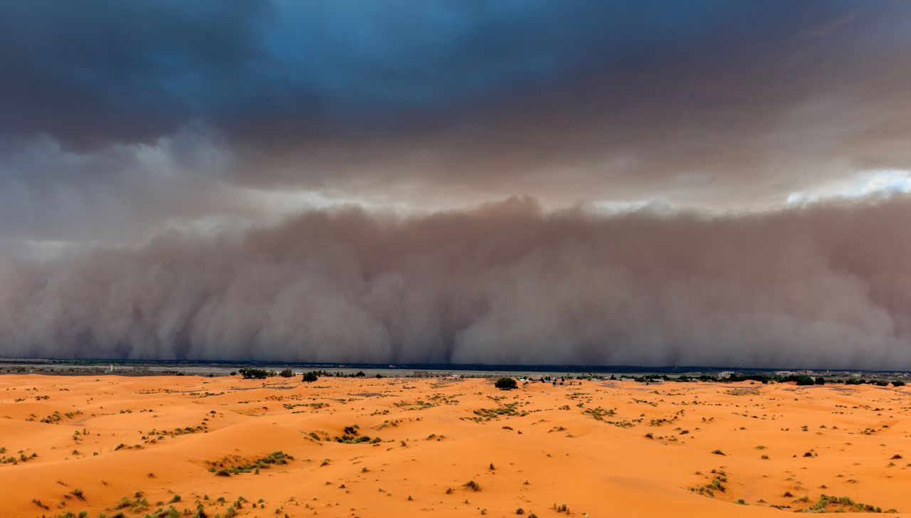 ¿Cuándo llega el Polvo del Sahara a México y qué estados serán afectados?