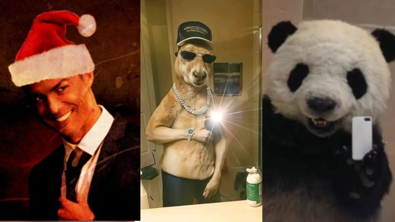 Team Canguro y Team Panda: origen y significado en TikTok