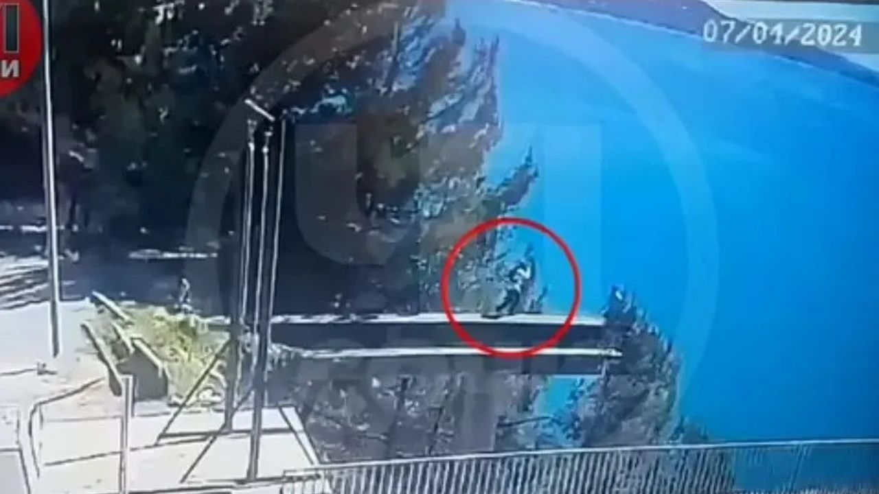 Influencer Inessa Polenko intenta tomar selfie sobre acantilado y muere ...