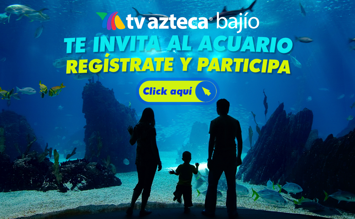 ¿Cómo conseguir boletos GRATIS para el Acuario en León? Así puedes ...