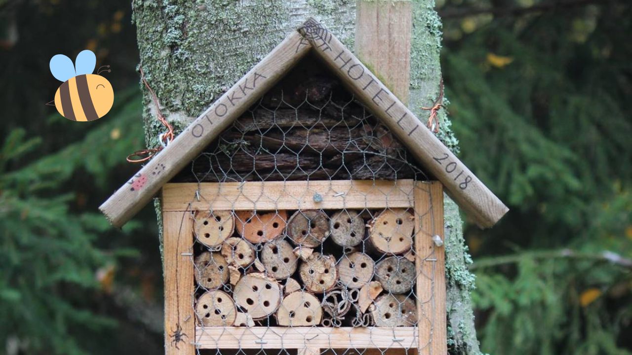 Hoteles para insectos: Un refugio polinizadores y controladores de plagas