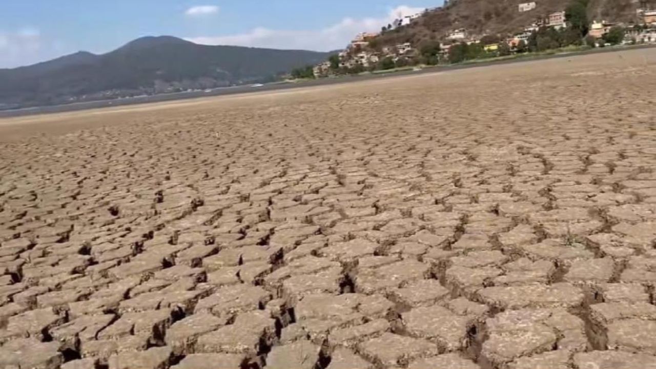 Gobierno de Michoacán confirma que Lago de Pátzcuaro enfrenta sequía ...