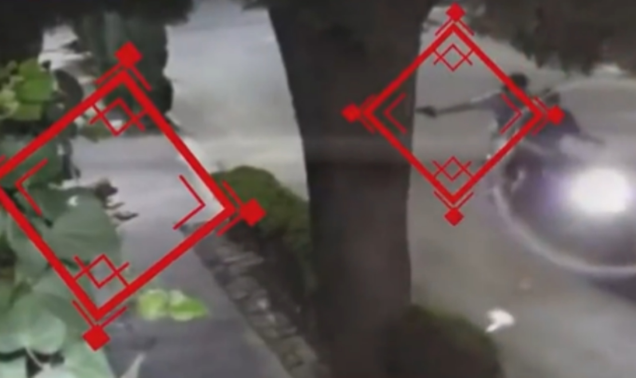 VIDEO: Sujetos disparan a perrita que descansaba en Texcoco