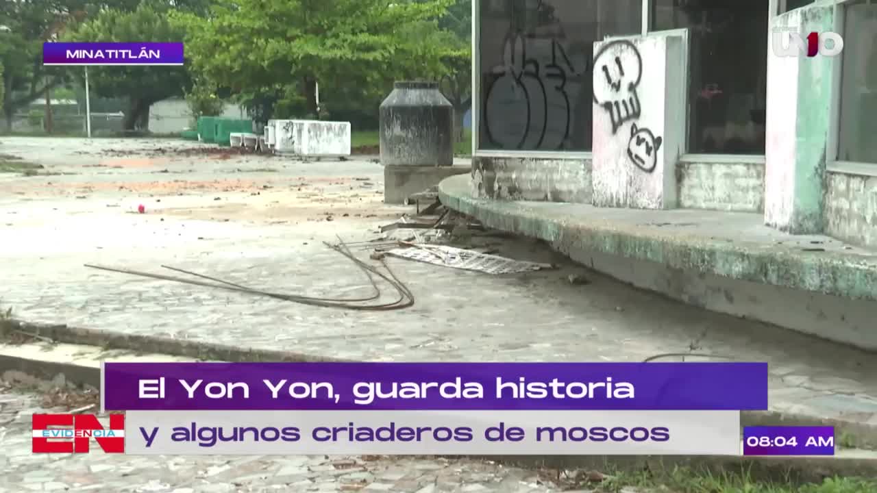 Minatitlán: Parque "Yon Yon" genera criaderos de mosquitos de dengue
