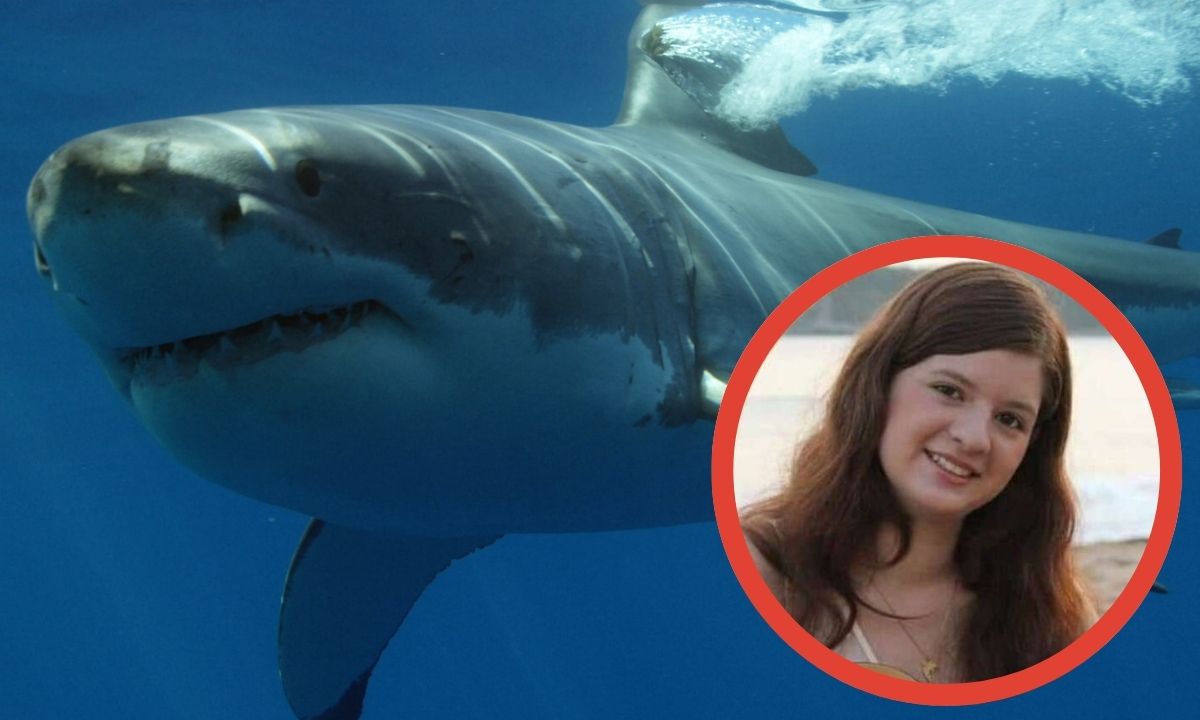 Autoridades revelan las causas del ataque de tiburón en Jalisco