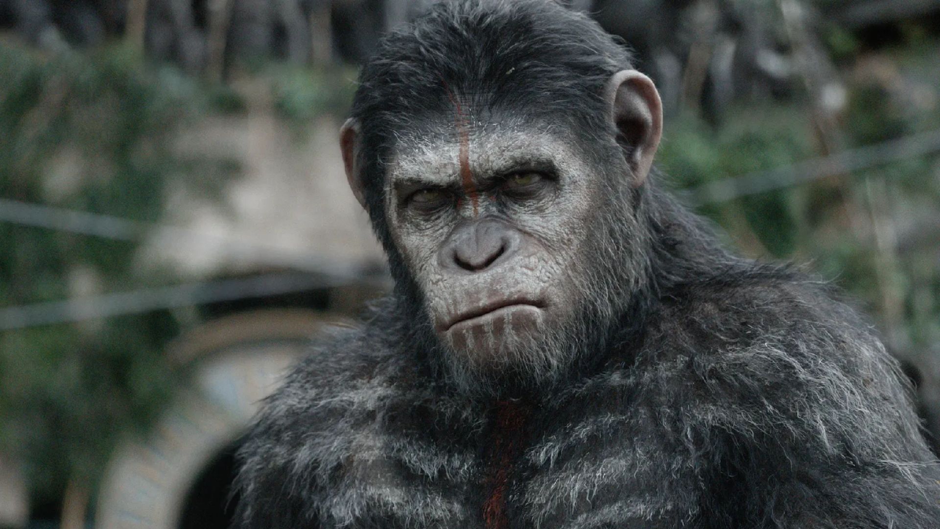 Confirman una NUEVA película de El Planeta de los Simios que conectará ...